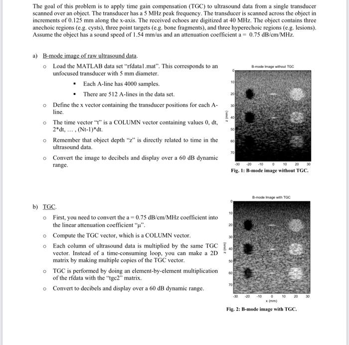 The goal of this problem is to apply time gain | Chegg.com