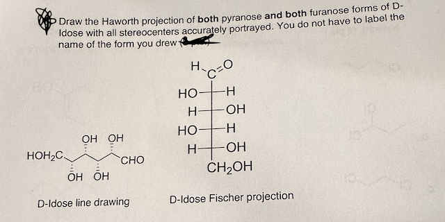 Solved Draw the Haworth projection of both pyranose and both | Chegg.com