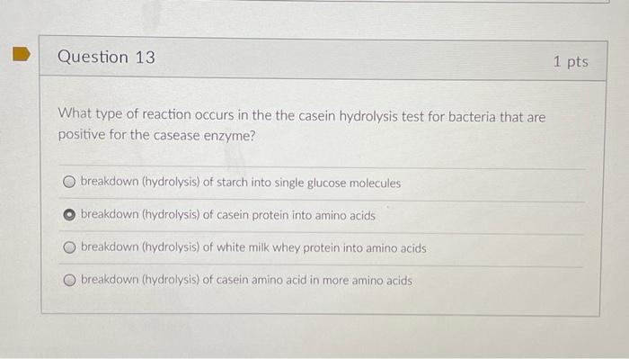Solved What type of reaction occurs in the casein hydrolysis | Chegg.com