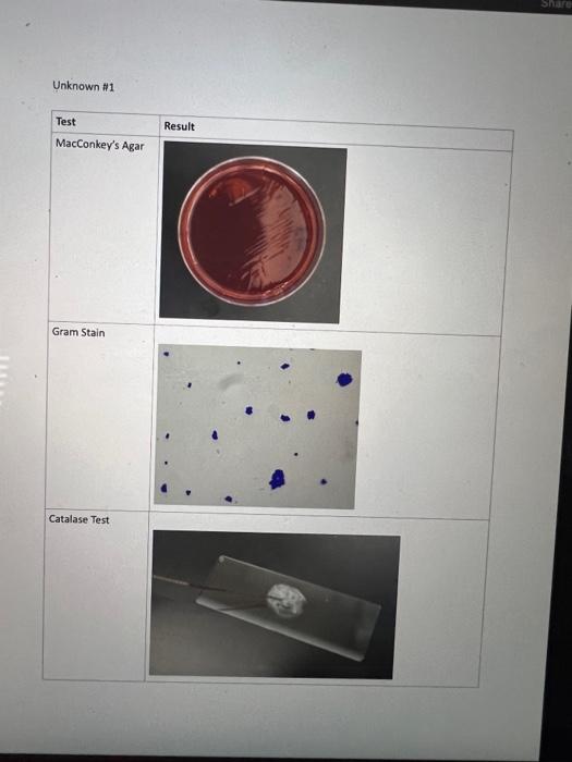 Solved Unknown \#1 | Chegg.com