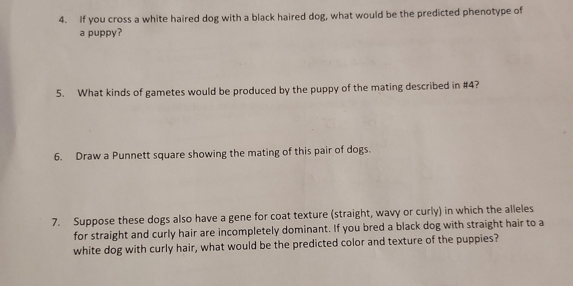 Solved Incomplete and Codominance Assignment Complete the | Chegg.com