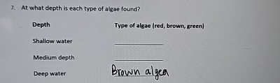 Solved At what depth is each type of algae | Chegg.com