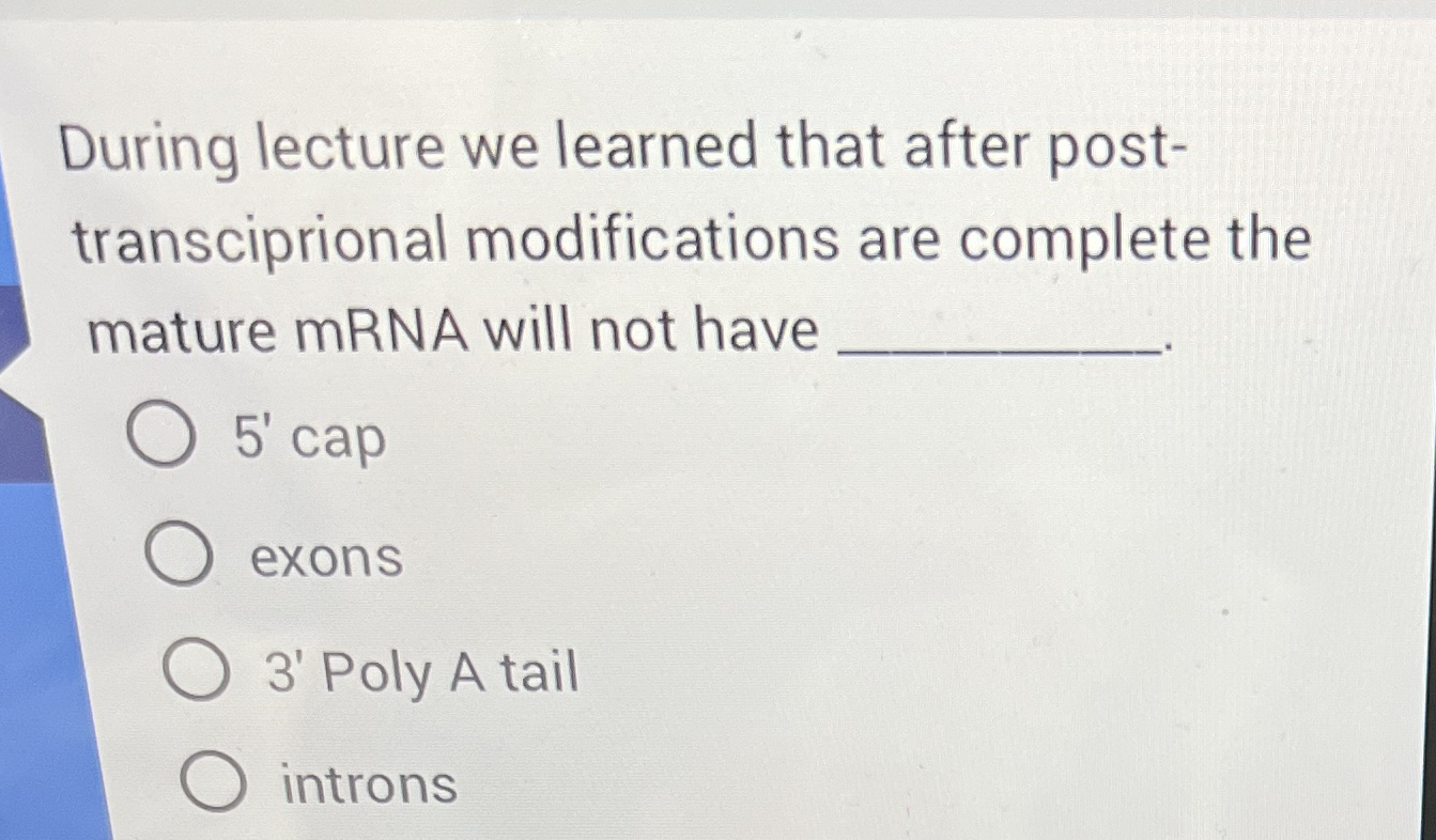 During lecture we learned that after | Chegg.com