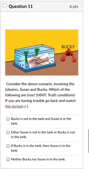 Solved Question 11 6 pts BUCKY Consider the above scenario, | Chegg.com