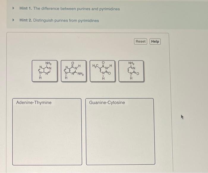 Solved Hint 1. The difference between purines and | Chegg.com