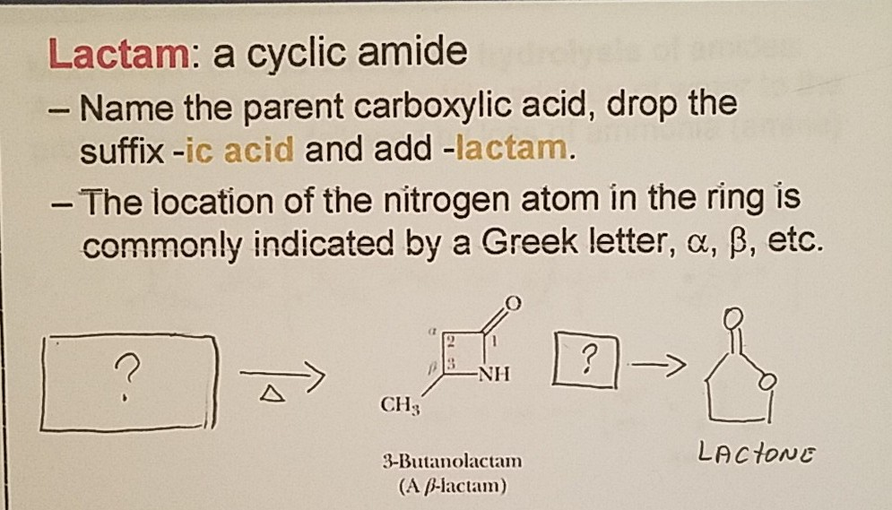 Solved Lactam: a cyclic amide - Name the parent carboxylic | Chegg.com