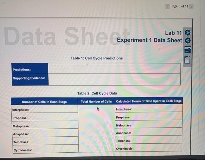 Solved Page 6 of 11 Data She Experi Lab 11 Experiment 1 Data | Chegg.com