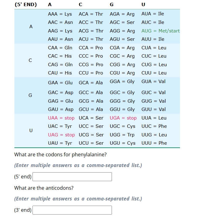 Solved What are the codons for phenylalanine? (Enter | Chegg.com