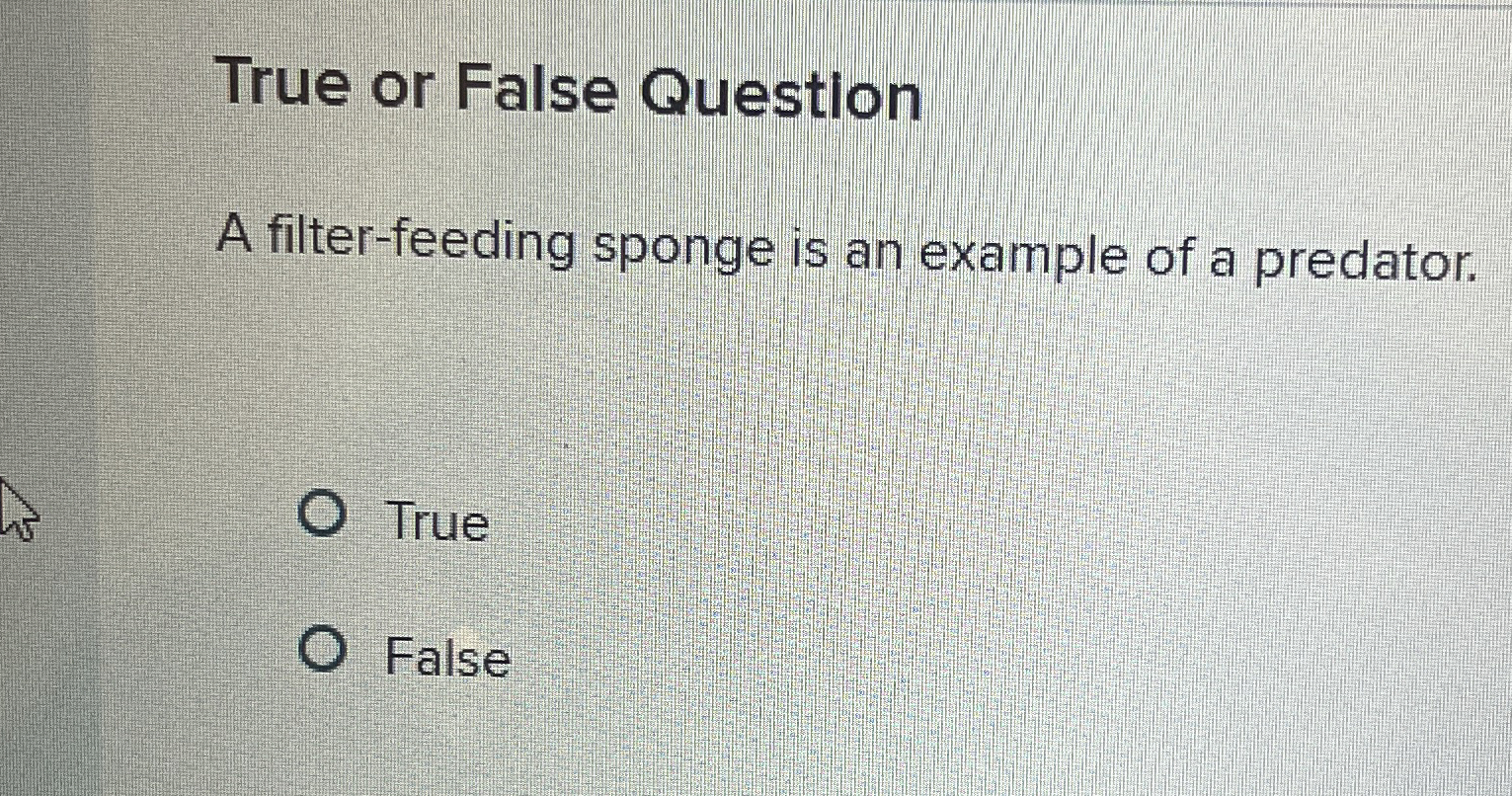 Solved True or False QuestionA filter-feeding sponge is an | Chegg.com