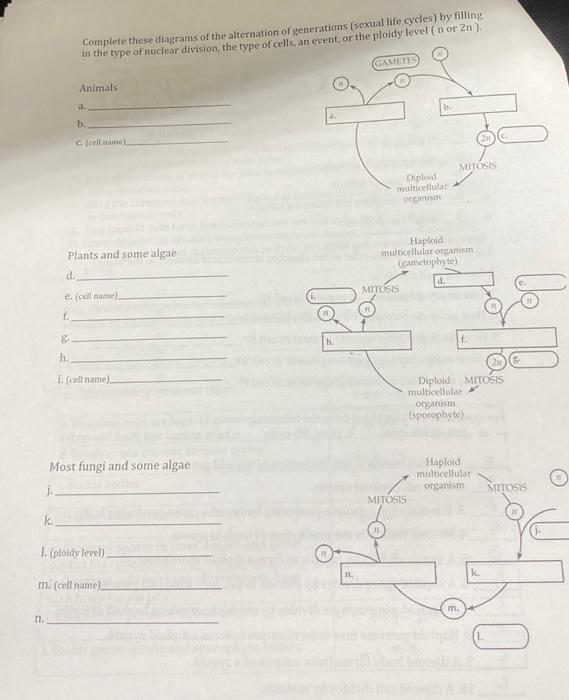 Solved k. Complete these diagrams of the alternation of | Chegg.com