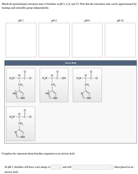 Solved Match the predominant ionization state of histidine | Chegg.com