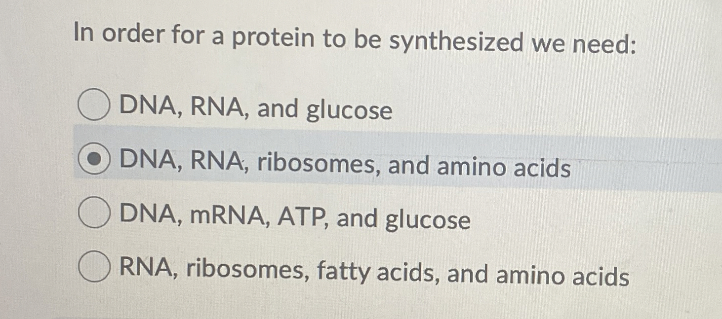 Solved In order for a protein to be synthesized we need:DNA, | Chegg.com