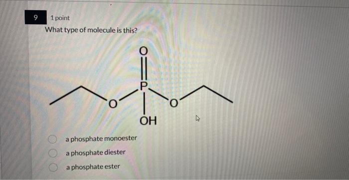 What type of molecule is this? a phosphate monoester | Chegg.com