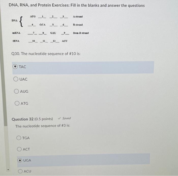 Solved DNA, RNA, and Protein Exercises: Fill in the blanks | Chegg.com