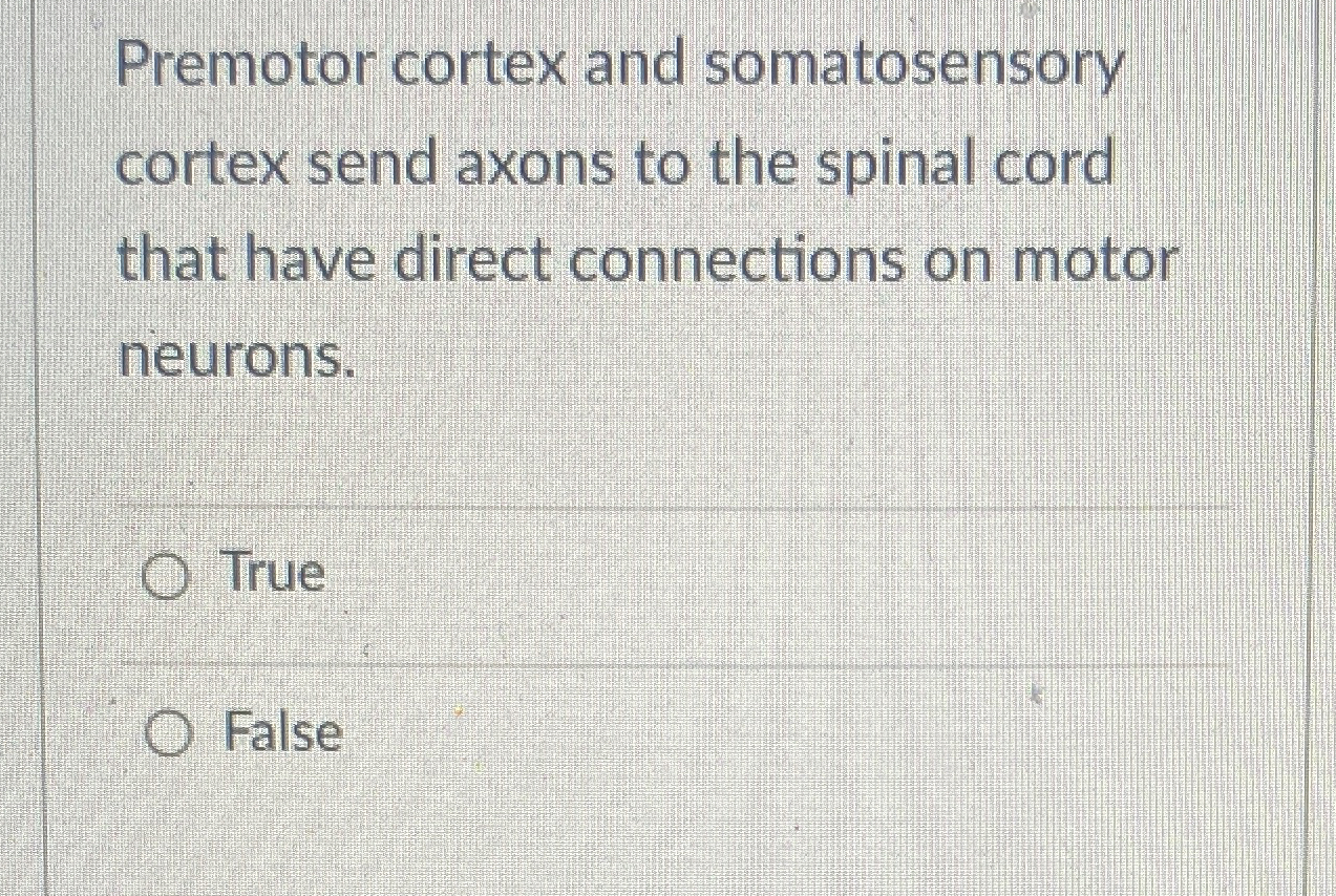 Solved Premotor cortex and somatosensory cortex send axons | Chegg.com