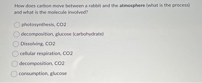 Solved How does carbon move between a rabbit and the | Chegg.com