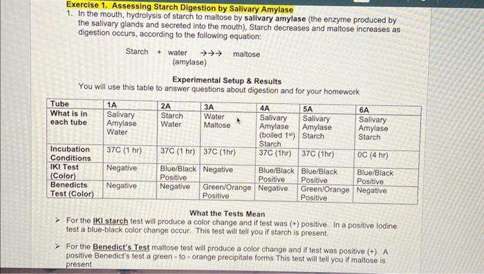 Solved Exercise 1. Assessing Starch Digestion by Salivary | Chegg.com