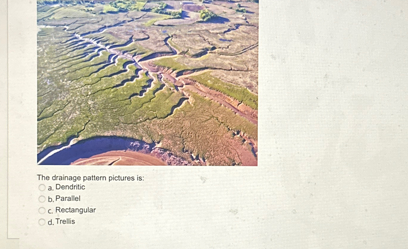 Solved The drainage pattern pictures is:a. ﻿Dendriticb. | Chegg.com