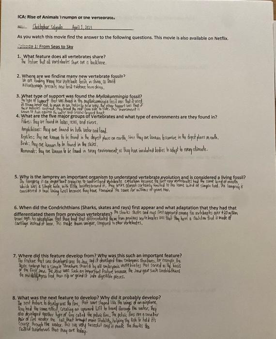 please answr the following questions for the | Chegg.com