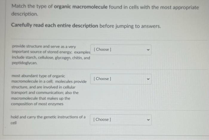 Match the type of organic macromolecule found in | Chegg.com