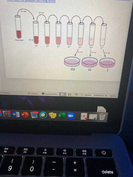 Solved calculate the titer of the original virus stock using | Chegg.com