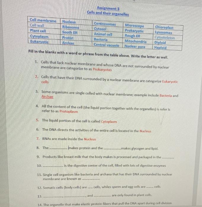 Solved Assignment 3 Cells and their organelles Cell membrane | Chegg.com