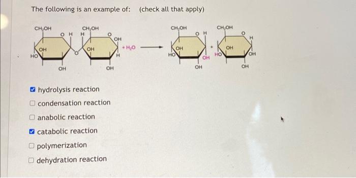 Solved The following is an example of: (check all that | Chegg.com