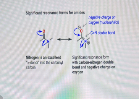 Solved Significant resonance forms for amidesnegative charge | Chegg.com