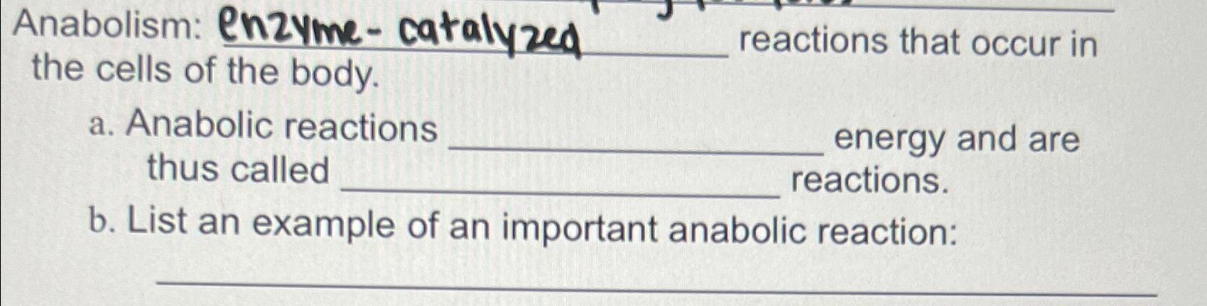 Solved Anabolism: enzyme-catalyzed the cells of the body. | Chegg.com