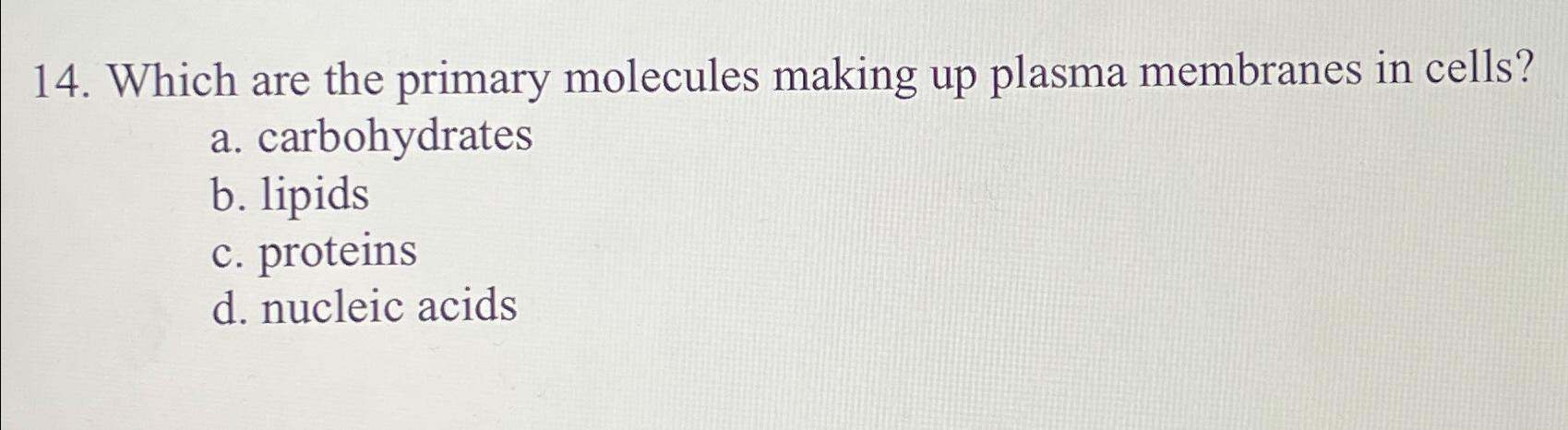 Solved Which are the primary molecules making up plasma | Chegg.com