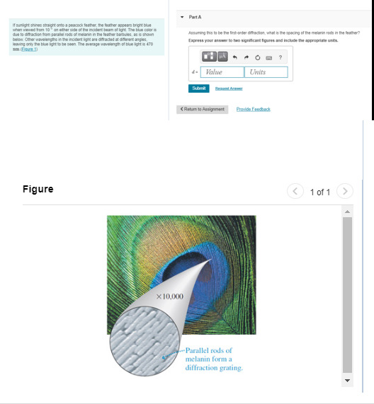 Solved if surlight shines stripht onto a peocock feather, | Chegg.com