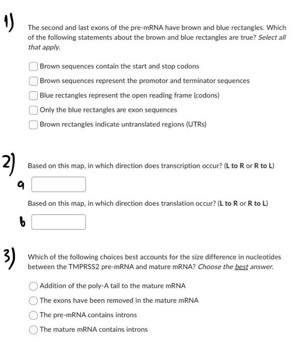 Solved Transcript map of precursor mRNA (pre-mRNA) for the | Chegg.com