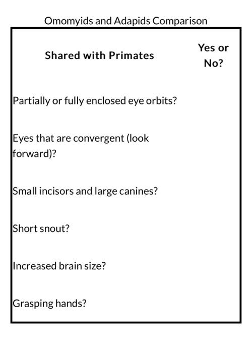 EXERCISE ONE: The Eocene (Approximately 55 - 34 MYA): | Chegg.com