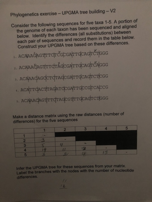 Solved Phylogenetics exercise - UPGMA tree building - V2 | Chegg.com