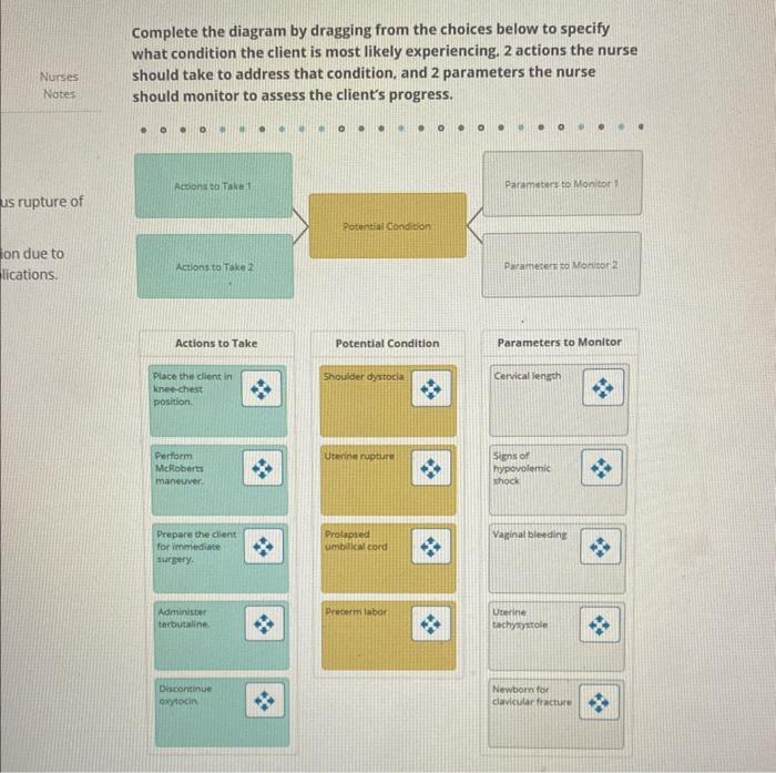 Solved A nurse is caring for a client who is in the second | Chegg.com