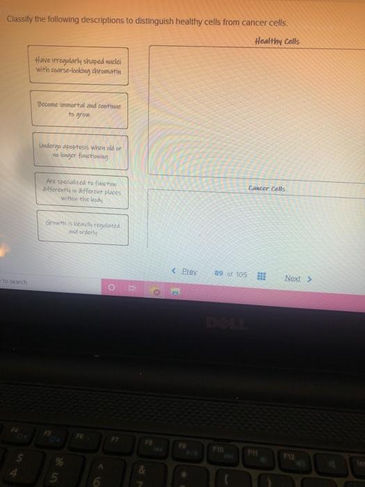 Solved Classify the following descriptions to distinguish | Chegg.com