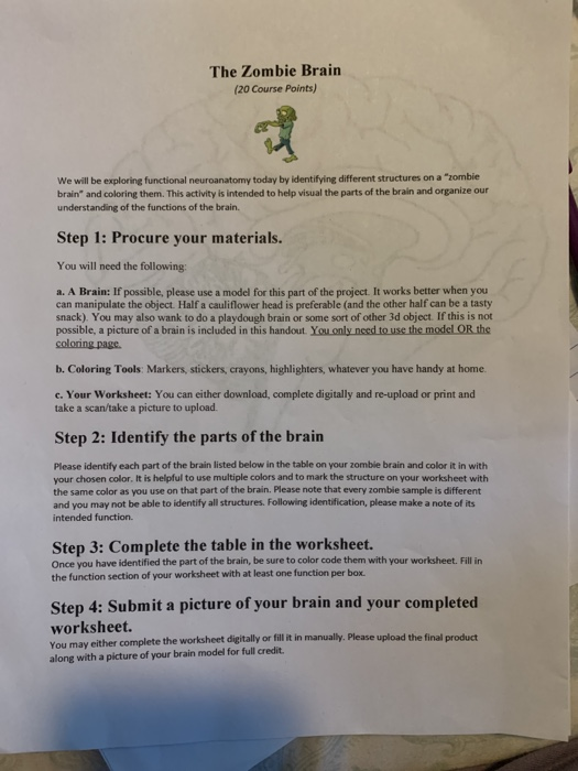 Solved The Zombie Brain (20 Course Points) We will be | Chegg.com