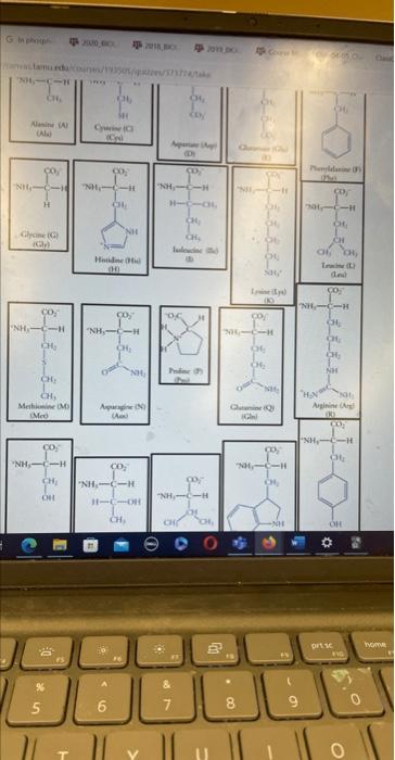Question 23 Bised on this reaction, which statement | Chegg.com