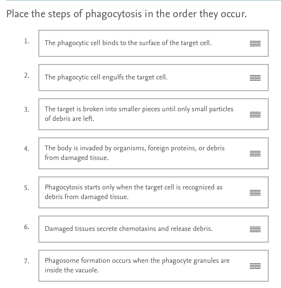 Solved Place the steps of phagocytosis in the order they | Chegg.com