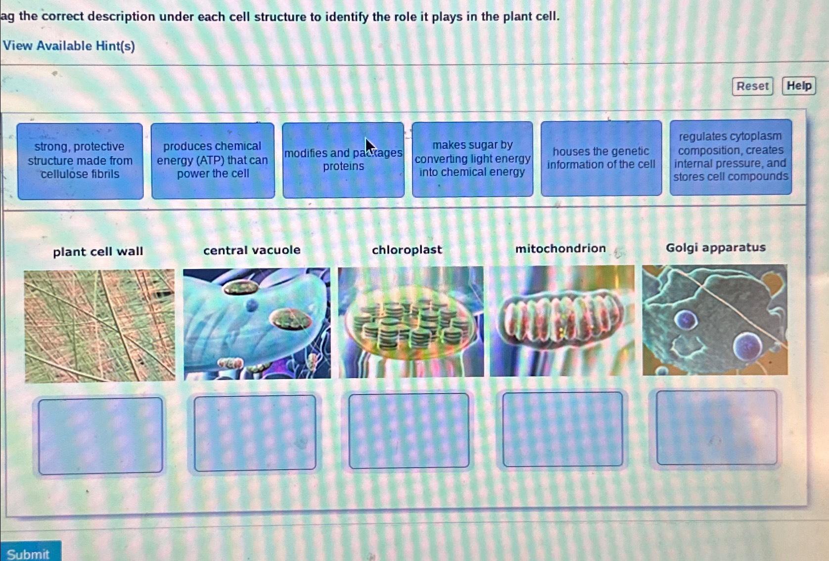 Solved ag the correct description under each cell structure | Chegg.com