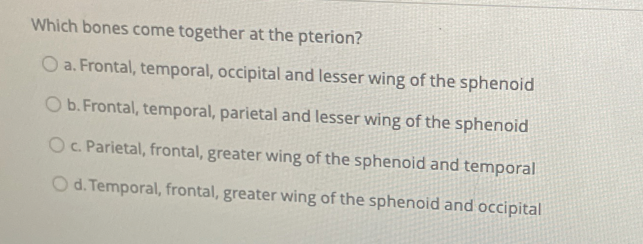 Solved Which bones come together at the pterion?a. ﻿Frontal, | Chegg.com
