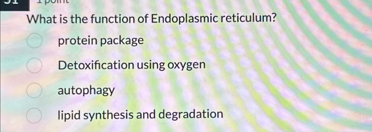 Solved What is the function of Endoplasmic reticulum?protein | Chegg.com