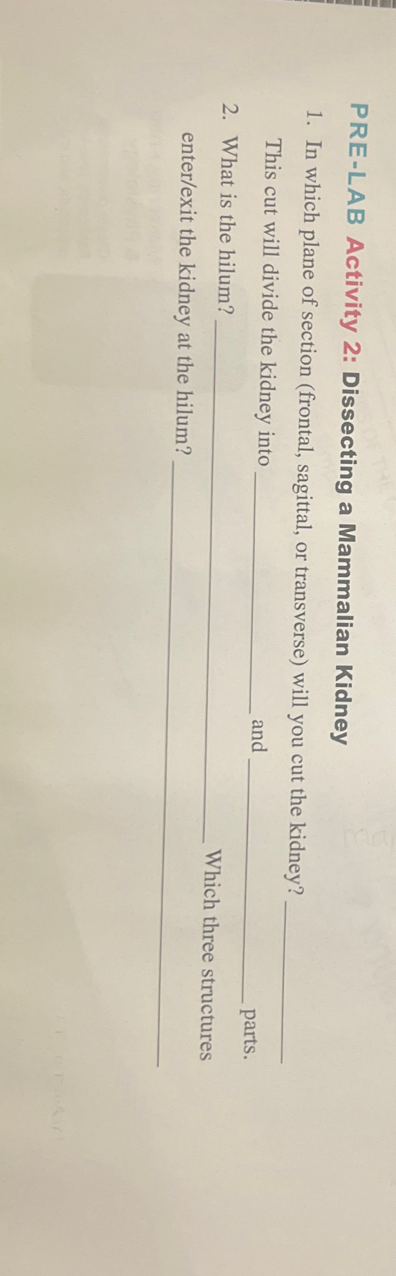 Solved PRE-LAB Activity 2: Dissecting a Mammalian KidneyIn | Chegg.com