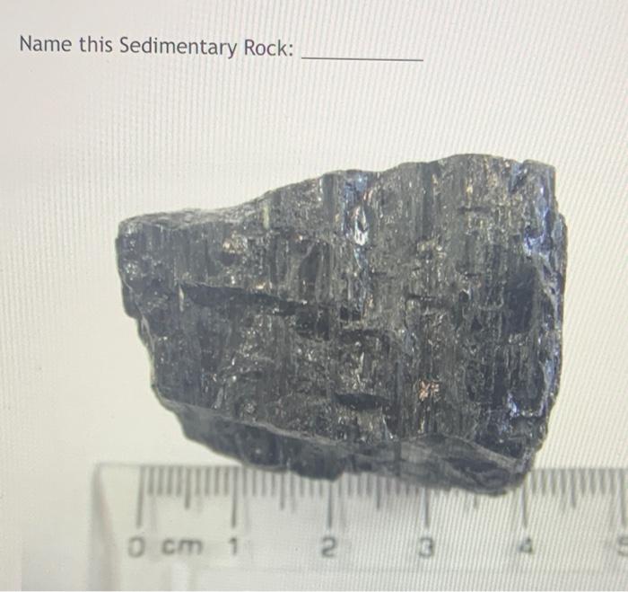 Solved Name this Sedimentary Rock: This sample has a gritty | Chegg.com