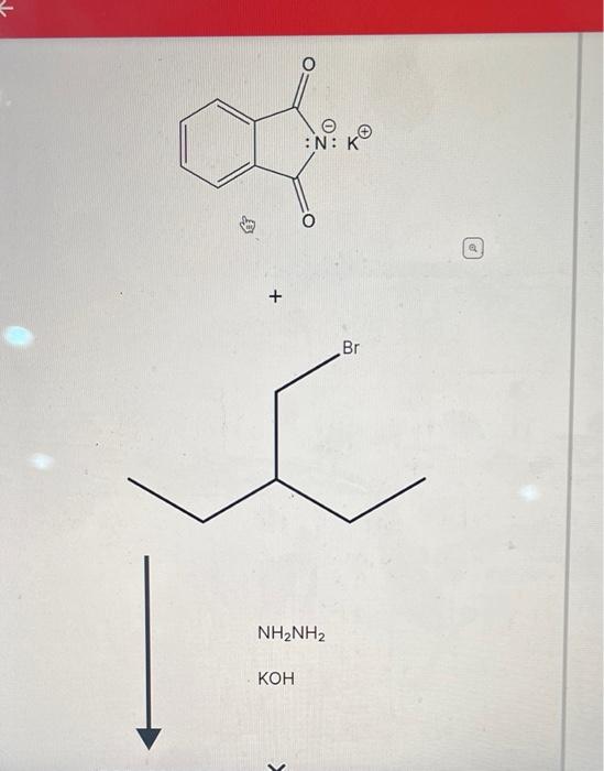 Solved :N: K O @ + Br NH2NH2 KOH | Chegg.com