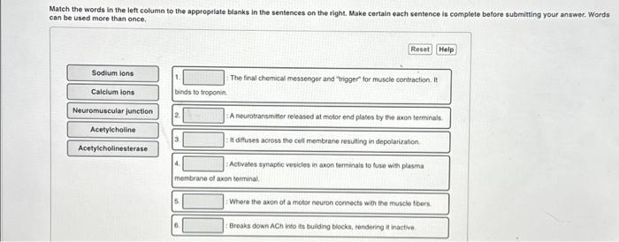 Solved Match the words in the left column to the appropriate | Chegg.com