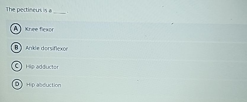 Solved The pectineus is aKnee flexorAnkle dorsiflexorHip | Chegg.com