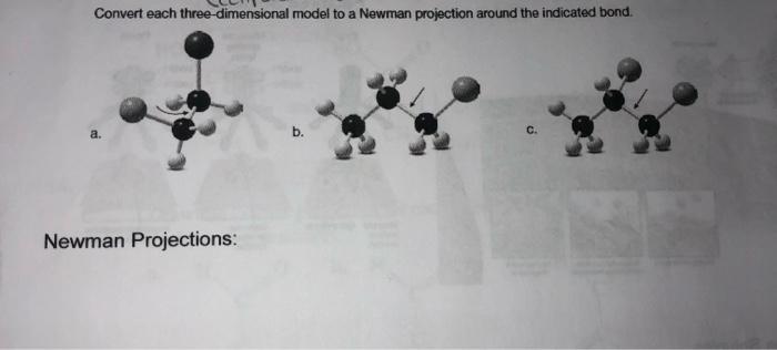 Solved Convert each three-dimensional model to a Newman | Chegg.com