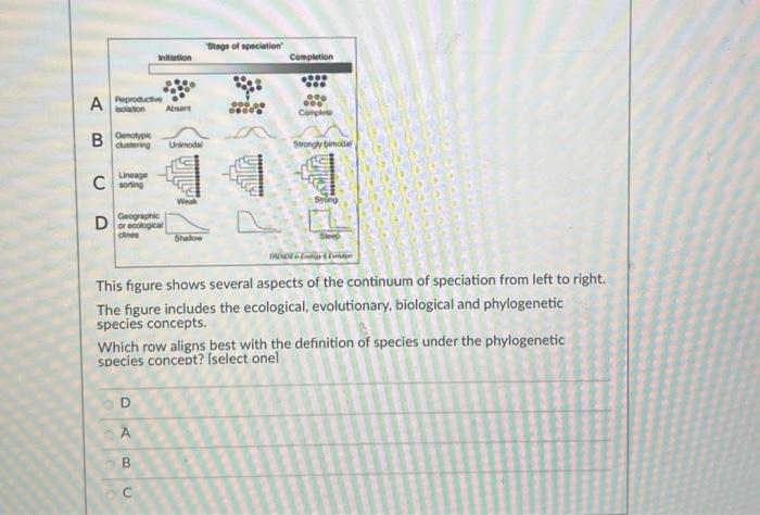 Solved This figure shows several aspects of the continuum of | Chegg.com