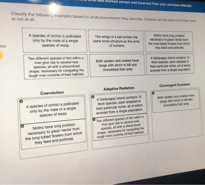 Solved W WII Was marked correct and incorrect from your | Chegg.com